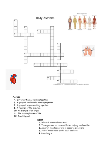 Body Systems crossword and wordsearch (Yr 7) | Teaching Resources