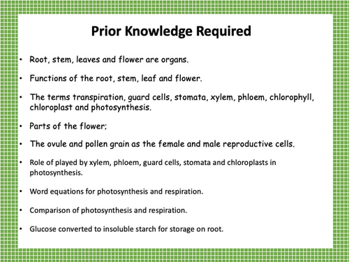 Plant Anatomy and Photosynthesis Dominoes Game KS3 | Teaching Resources