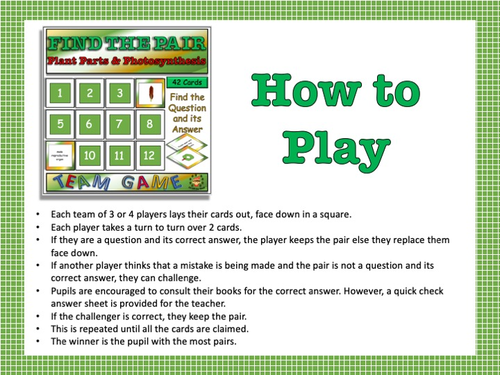 Plant Anatomy and Photosynthesis Find the Pair Game KS3 | Teaching ...