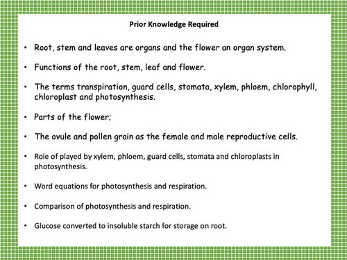 Plant Anatomy and Photosynthesis Find the Pair Game KS3 | Teaching ...