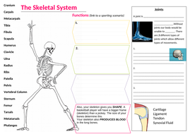 Skeletal System Learning Mat Teaching Resources