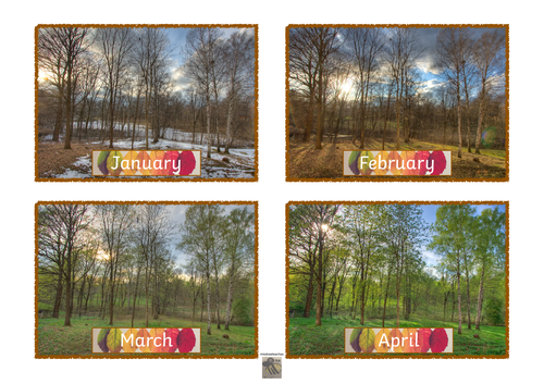 Seasons Birthday Display / Calendar- natural tree theme | Teaching ...