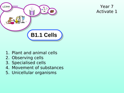 Year 7 Cells - Ppt and worksheets | Teaching Resources