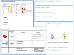 Year 7 Cells - Ppt and worksheets | Teaching Resources