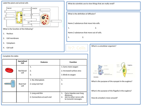Year 7 Cells - Ppt and worksheets | Teaching Resources