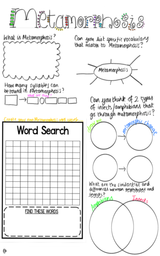Metamorphosis | Teaching Resources