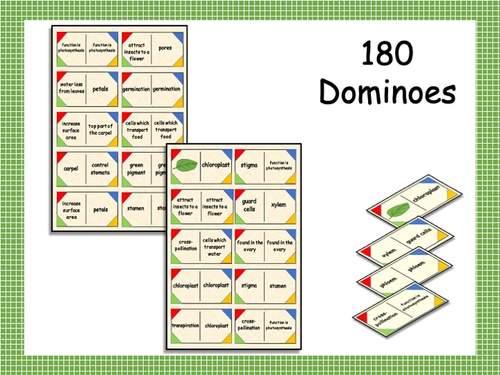 Plant Anatomy and Life Cycle of the Flowering Plant Dominoes Game KS3 ...