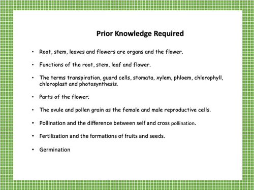 Plant Anatomy and Life Cycle of the Flowering Plant Dominoes Game KS3 ...