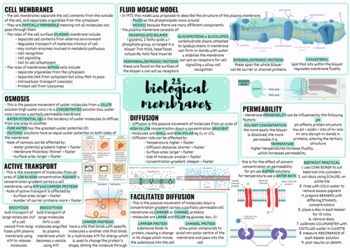 OCR ALEVEL BIOLOGY BIOLOGICAL MEMBRANES MINDMAP | Teaching Resources