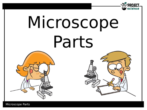Microscope Parts PowerPoint Presentation and Activity Sheets | Teaching ...