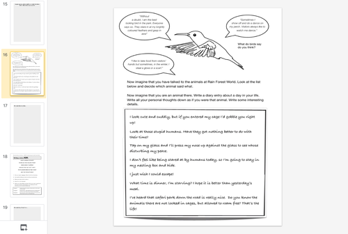 Lots Of Writing Tasks About The Rainforest: Digital Resource (7-12 ...