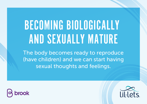 Puberty Emotional And Mental Health Activity Pshe Rse Teaching Resources