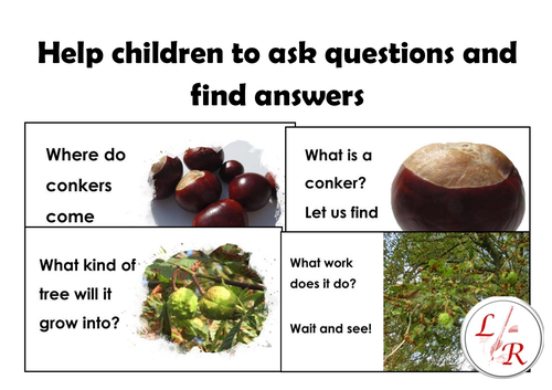 Horse Chestnut Tree Life Cycle PowerPoint EYFS and KS1 | Teaching Resources