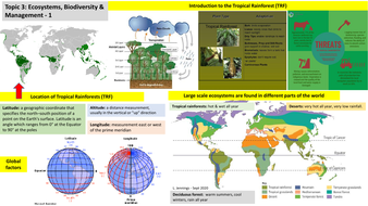 Edexcel A GCSE Topic 3 KNOWLEDGE ORGANISER: Ecosystems, Biodiversity ...