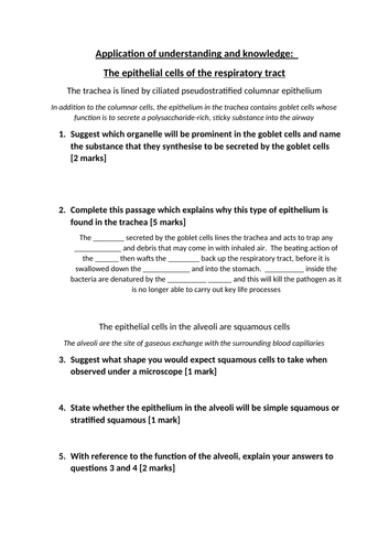 Cell specialisation and organisation (OCR A-level Biology A) | Teaching ...