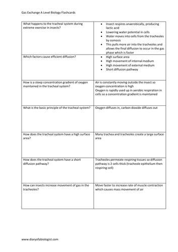 AQA Flashcards Gas Exchange A Level Biology | Teaching Resources