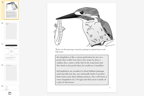 The Kingfisher: Digital Reading Comprehension Activity (6-9 years ...