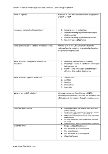 AQA Flashcards Genetic Material + Meiosis + Protein Synthesis A Level ...