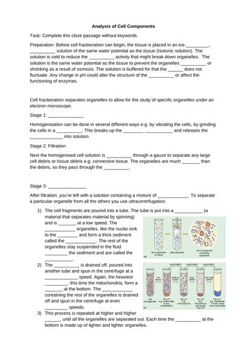 AQA A-Level New specification-Methods of studying cells-Section 2-Cells ...