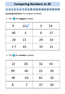Entry Level Maths: Numbers to 20 | Teaching Resources