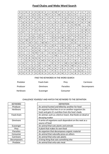 Food chains and webs keyword wordsearch | Teaching Resources
