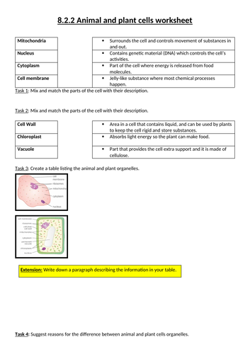 KS3 Plants and animal cells | Teaching Resources