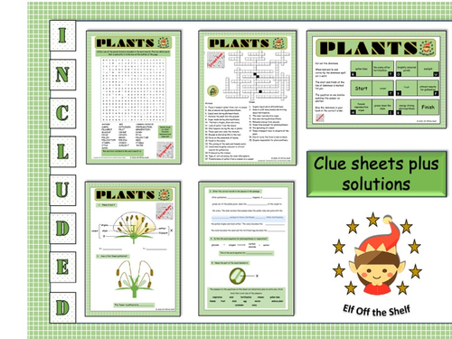 Plant Anatomy Photosynthesis and Life Cycle Save the Supply Teacher ...