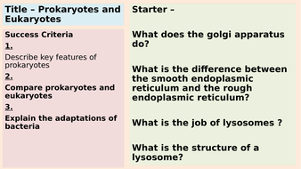 Prokaryotes and Eukaryotes - A level / Applied Level | Teaching Resources