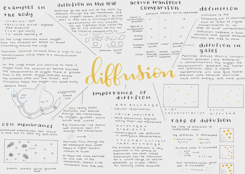 GCSE Biology Diffusion Mindmap - Triple science content AQA | Teaching ...