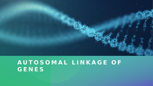 Autosomal Linkage of Genes | Teaching Resources