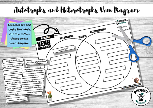 Autotrophs and Heterotrophs Venn Diagram | Teaching Resources