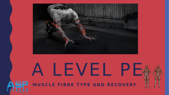Muscle fibres and recovery A level PE | Teaching Resources