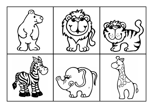 Writing about Animals | Teaching Resources