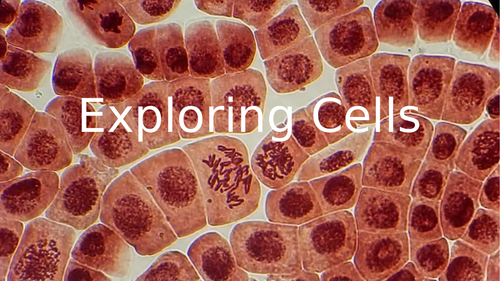 Exploring Cells PPT & Worksheet | Teaching Resources