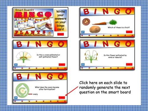 Plant Anatomy Life Cycle Photosynthesis Smart Board Bingo KS3 ...