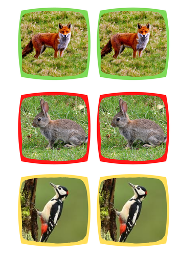 Forest Animal Matching Cards | Teaching Resources