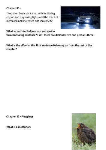 Skellig - full book 30 + lessons | Teaching Resources