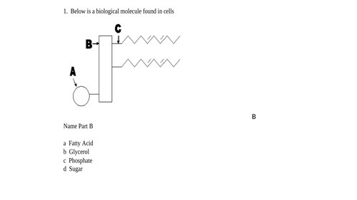 AS HINGE MULTIPLE CHOICE QUESTIONS | Teaching Resources