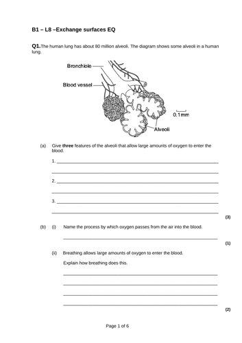 GCSE AQA Science Biology 4.1 L8 Features of exchange surfaces ...
