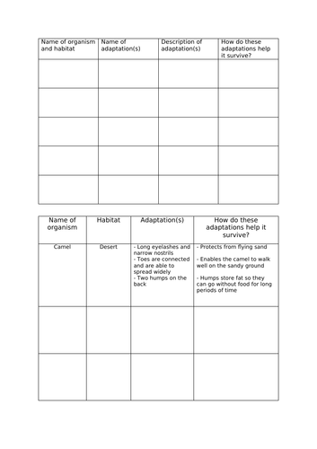Competition and adaptation KS3 Activate Science | Teaching Resources