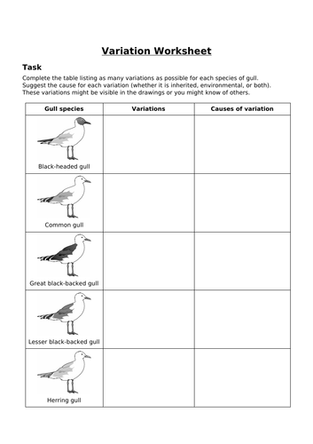 Variation KS3 Activate Science | Teaching Resources