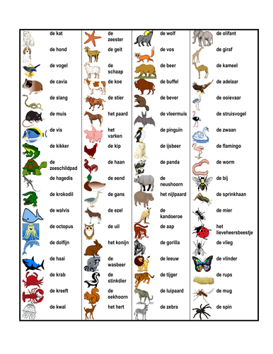 Dieren (Animals in Dutch) Desk Mat | Teaching Resources