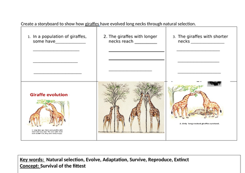 Natural selection KS3 Science | Teaching Resources