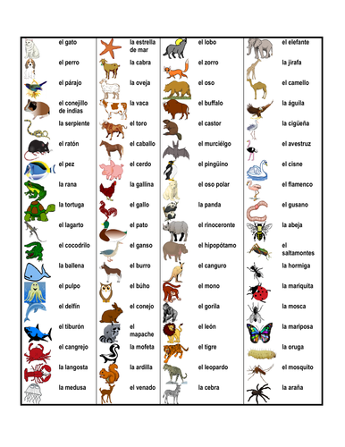 Animales (Animals in Spanish) Desk Mat | Teaching Resources