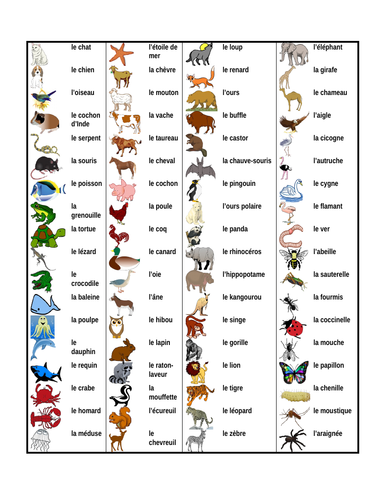 Animaux (Animals in French) Desk Mat | Teaching Resources