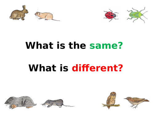 Animals - Similarities and Differences - comparative conjunctions ...