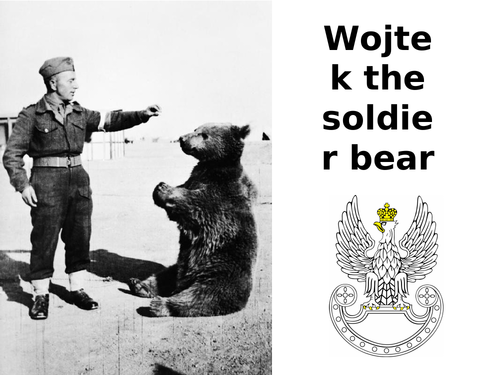 Wojtek the World War Two Soldier Bear | Teaching Resources