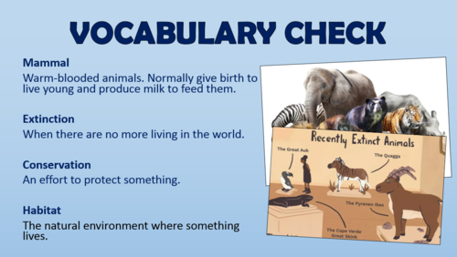 Blue Whales Non-Fiction Text - Whole Class Guided Reading! | Teaching ...