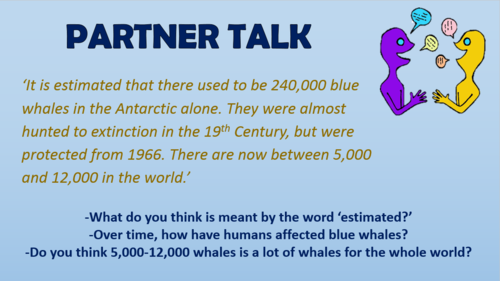 Blue Whales Non-Fiction Text - Whole Class Guided Reading! | Teaching ...