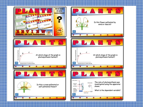 Plant Anatomy Life Cycle and Photosynthesis Quiz-Based Revision Lesson ...